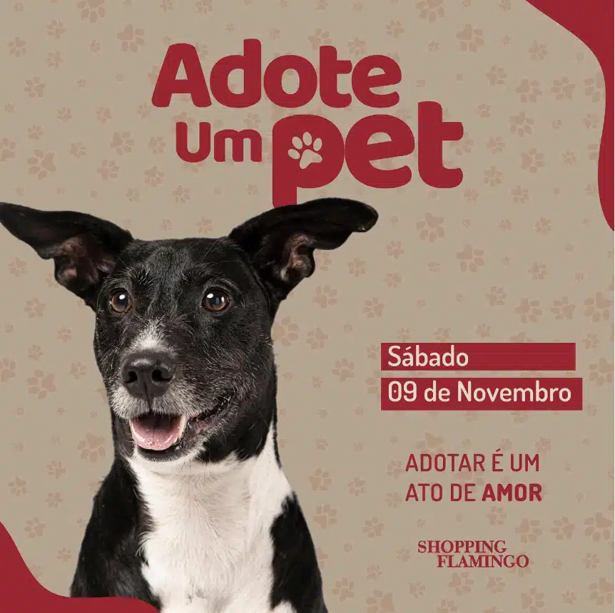 Adote um Pet - Shopping Flamingo
